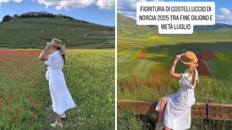 Altro che Olanda: in Italia c'è una fioritura colorata da ammirare tra ...